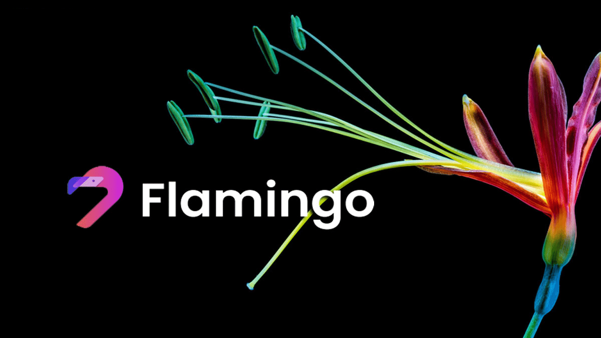 Flamingo FLM Coin Nedir? FLM/USD Yorum ve Geleceği